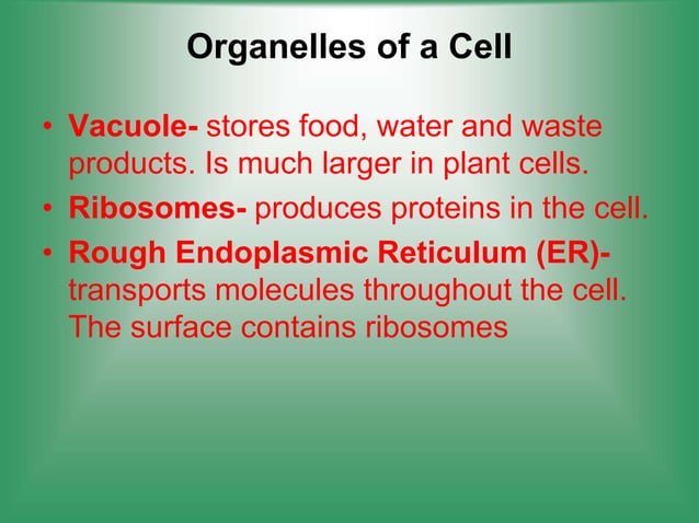 Lecture_1_The_cell_is_a_structural_functional_unit_of_life..pptx