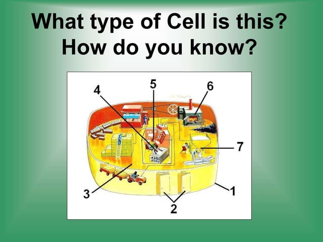Lecture_1_The_cell_is_a_structural_functional_unit_of_life..pptx