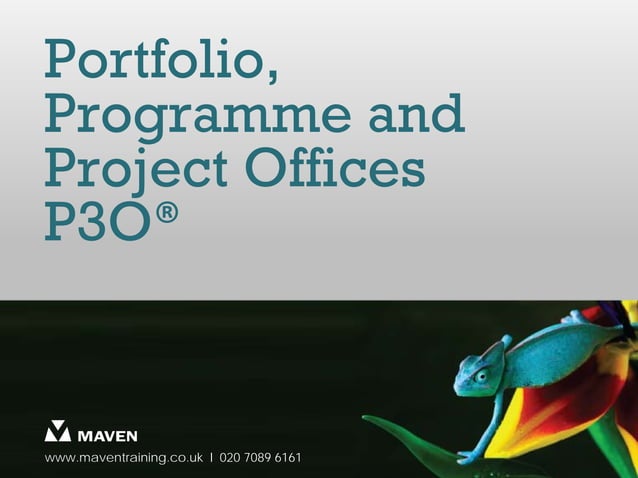 P3O quick guide | PPT