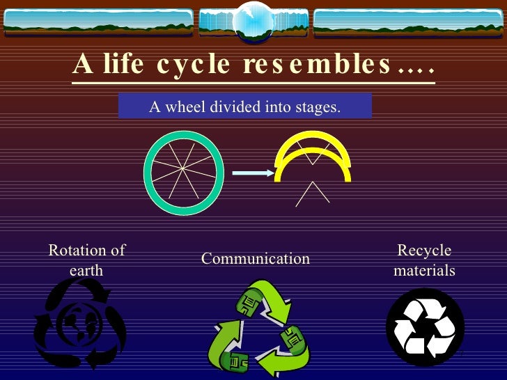 P3 Science Hblt3 W2 Lifecycle