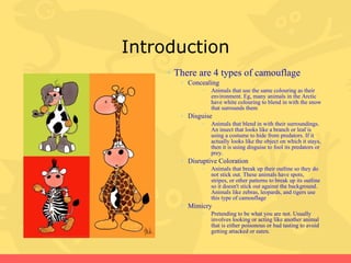 P3 Science Project 2 Animal Camouflage | PPS