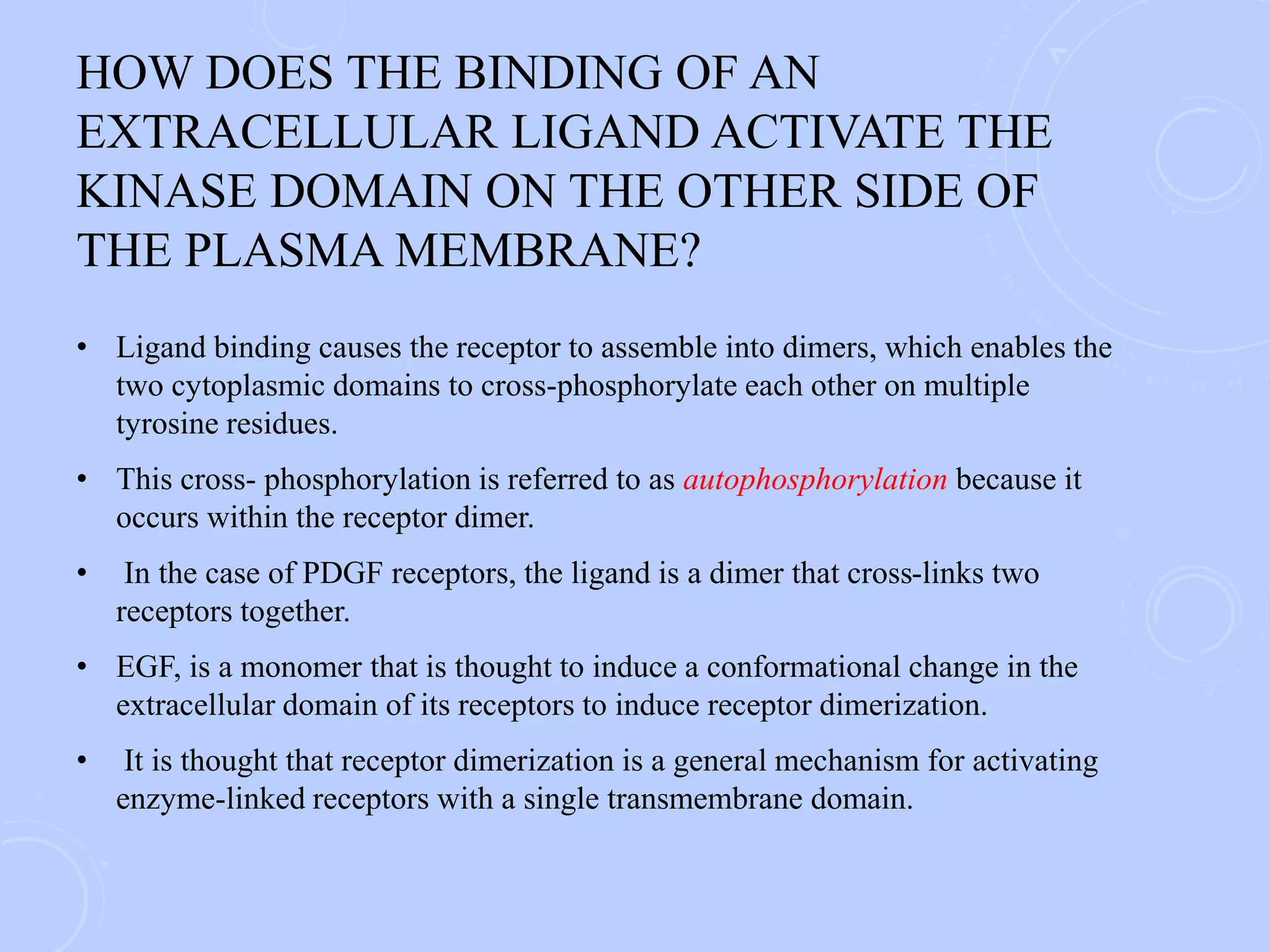 Enzyme coupled receptors.pptx
