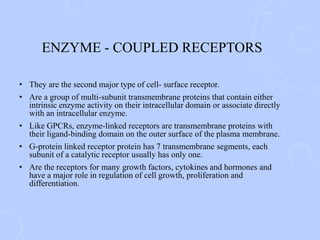 Enzyme coupled receptors.pptx