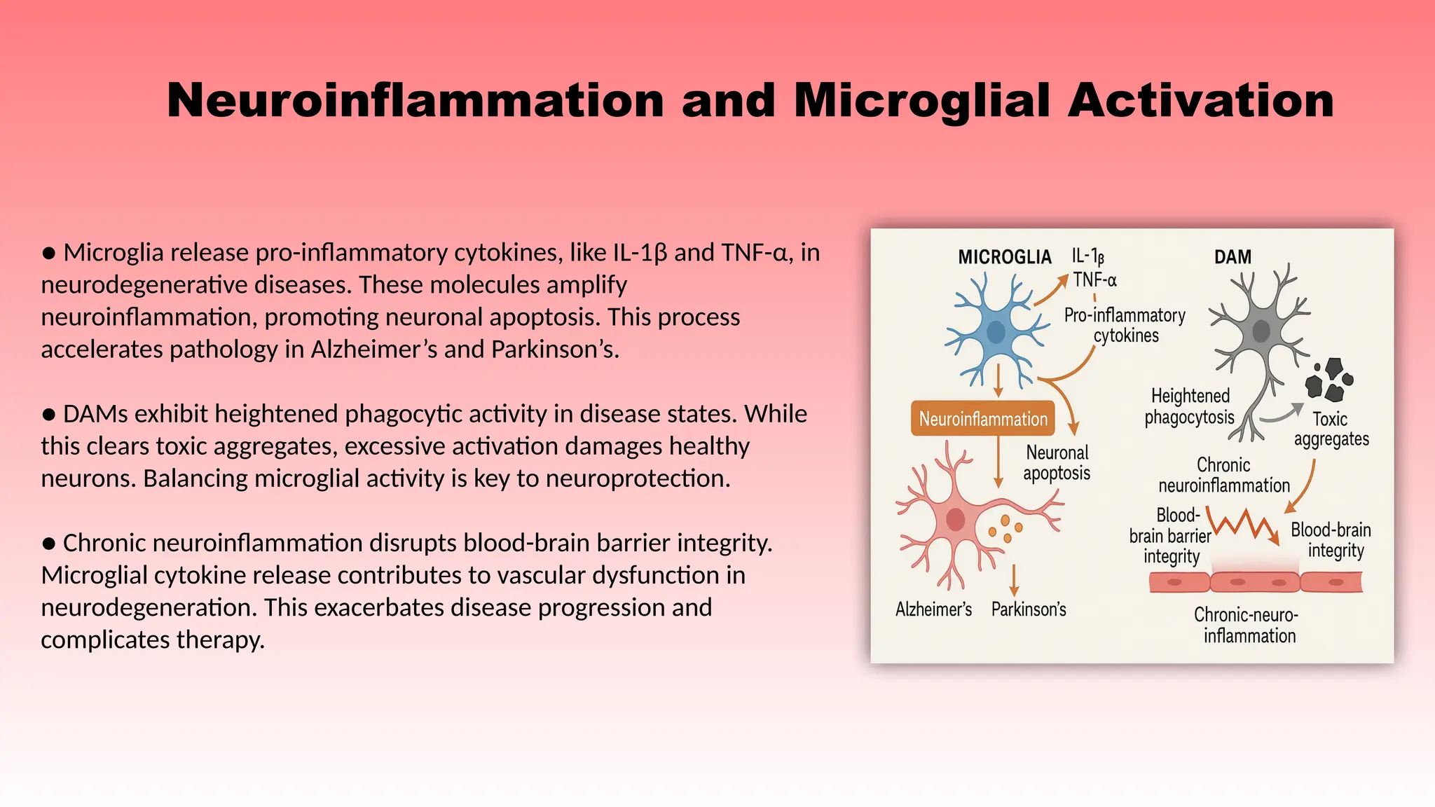 Neuroinflammation and microglial subtypes | PPTX
