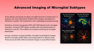 Neuroinflammation and microglial subtypes | PPTX