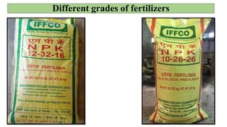 fertilizer calculation | PDF