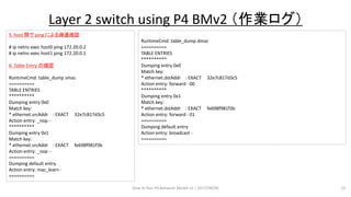 How to run P4 BMv2 | PDF | Programming Languages | Computing