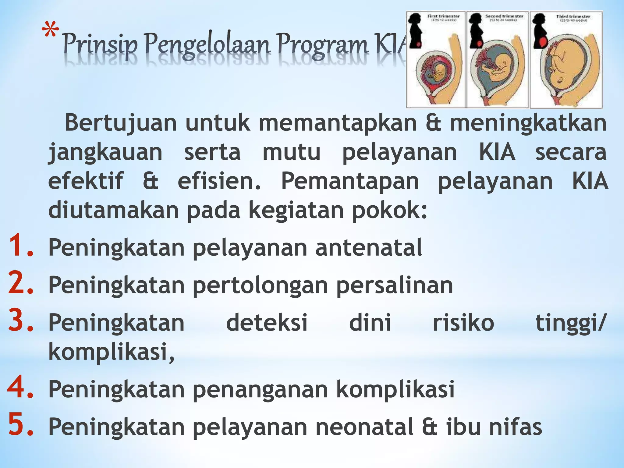 P4K_PROGRAM_PERENCANAAN_PERSALINAN_DAN_P.ppt