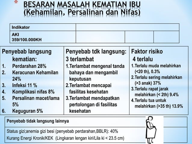 P4K_PROGRAM_PERENCANAAN_PERSALINAN_DAN_P.ppt