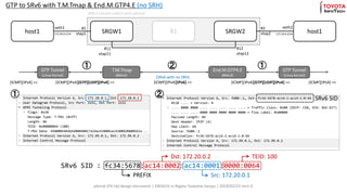 p4srv6 (P4-16) design document rev1.0 | PPT