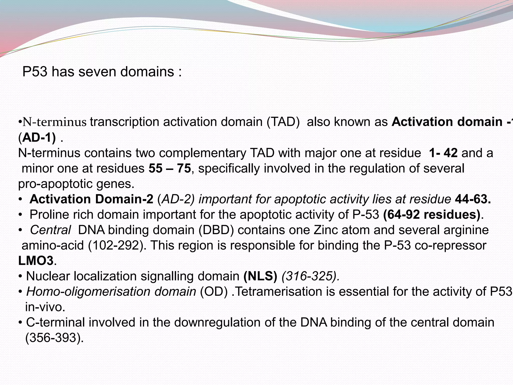 P53 | PPTX