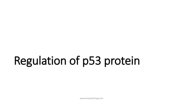 P53 | PDF | Cancer | Diseases and Conditions