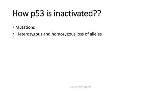 P53 | PDF | Cancer | Diseases and Conditions
