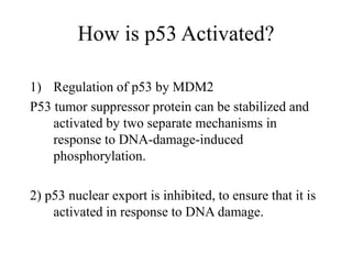 P53.pptx
