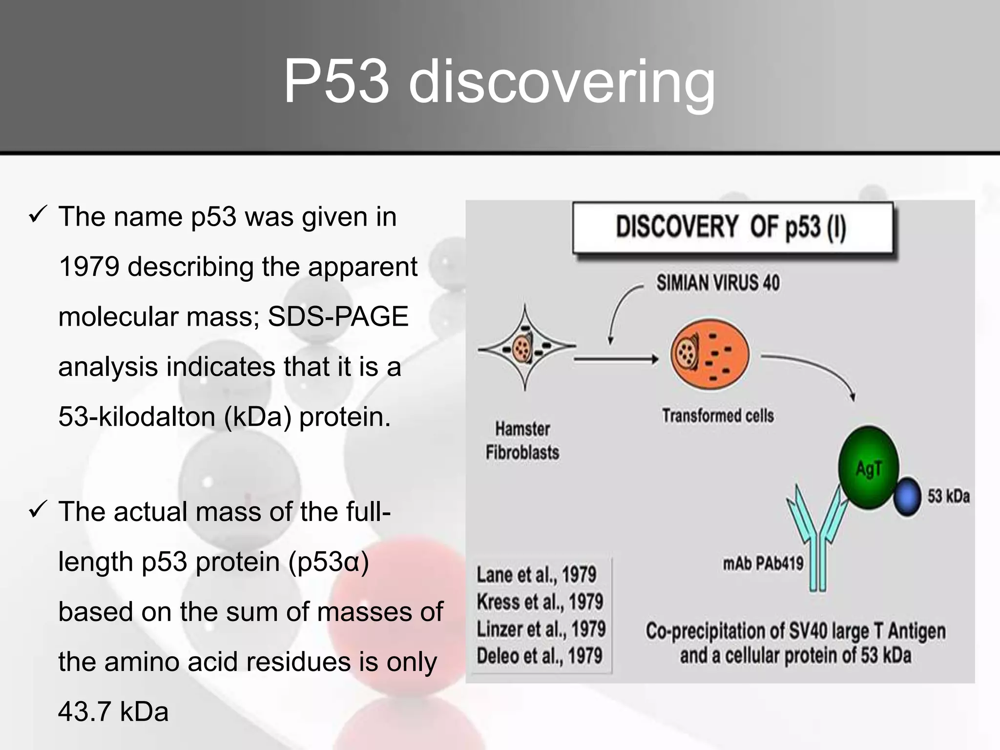P53 apoptosis | PPTX