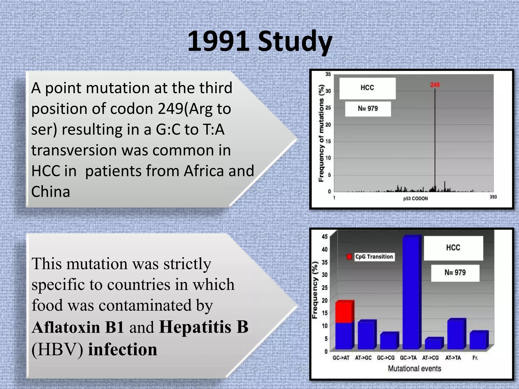 P53 in hepatocellular carcinoma | PPTX