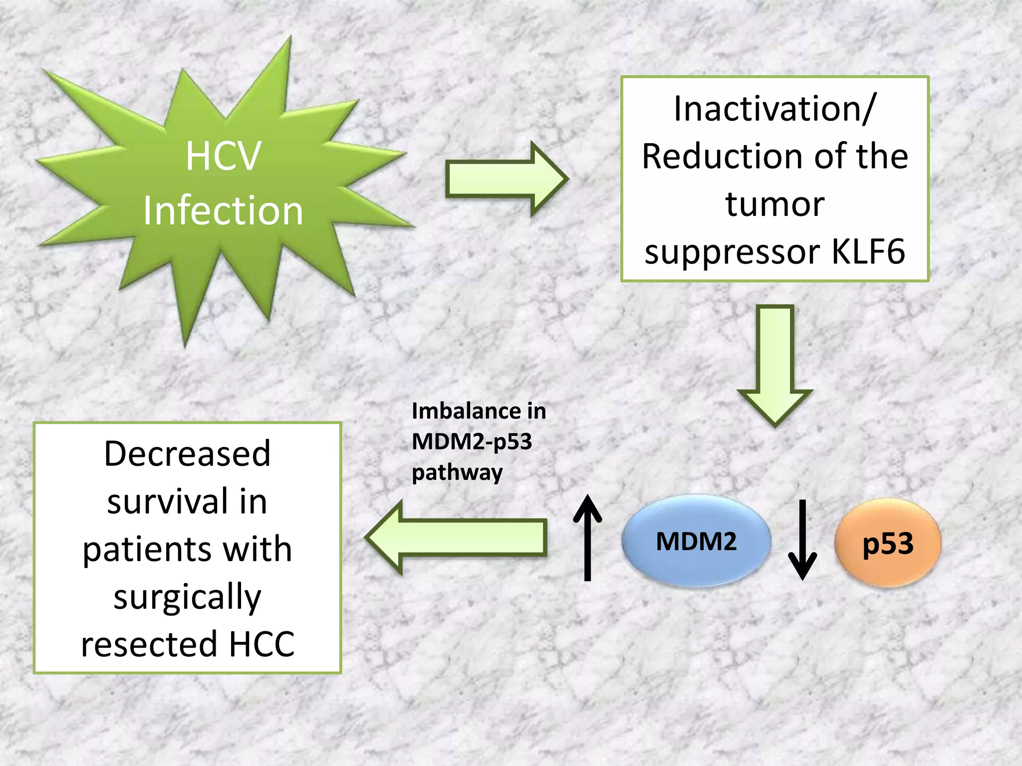 P53 in hepatocellular carcinoma | PPTX