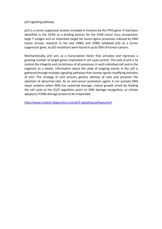 P53 signaling pathway | PDF