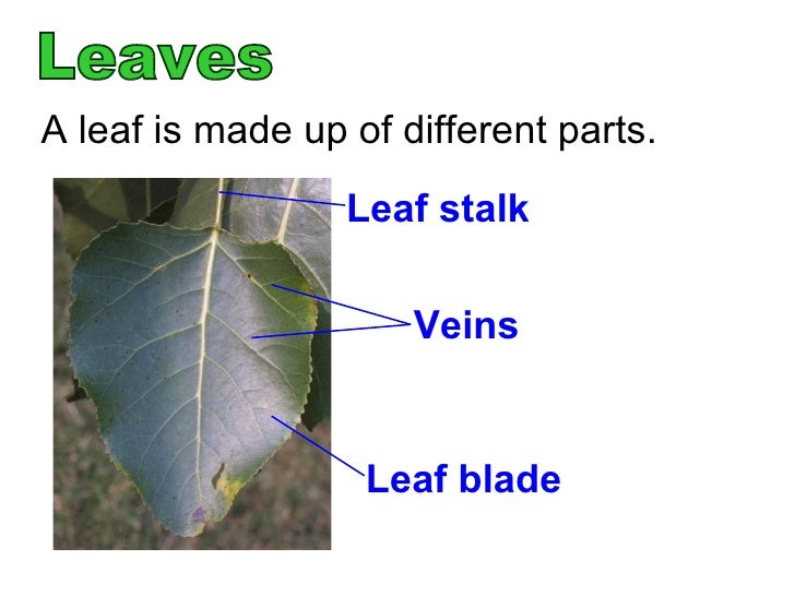 P5 Fdn Plant System Revision Hb Lwk2 P5 Fdn Plant System Revision Hb Lwk2
