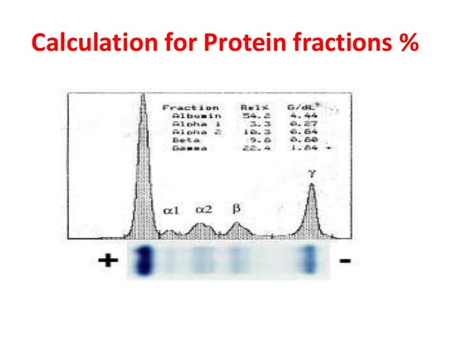 3.2.2 Electrophoresis Notes