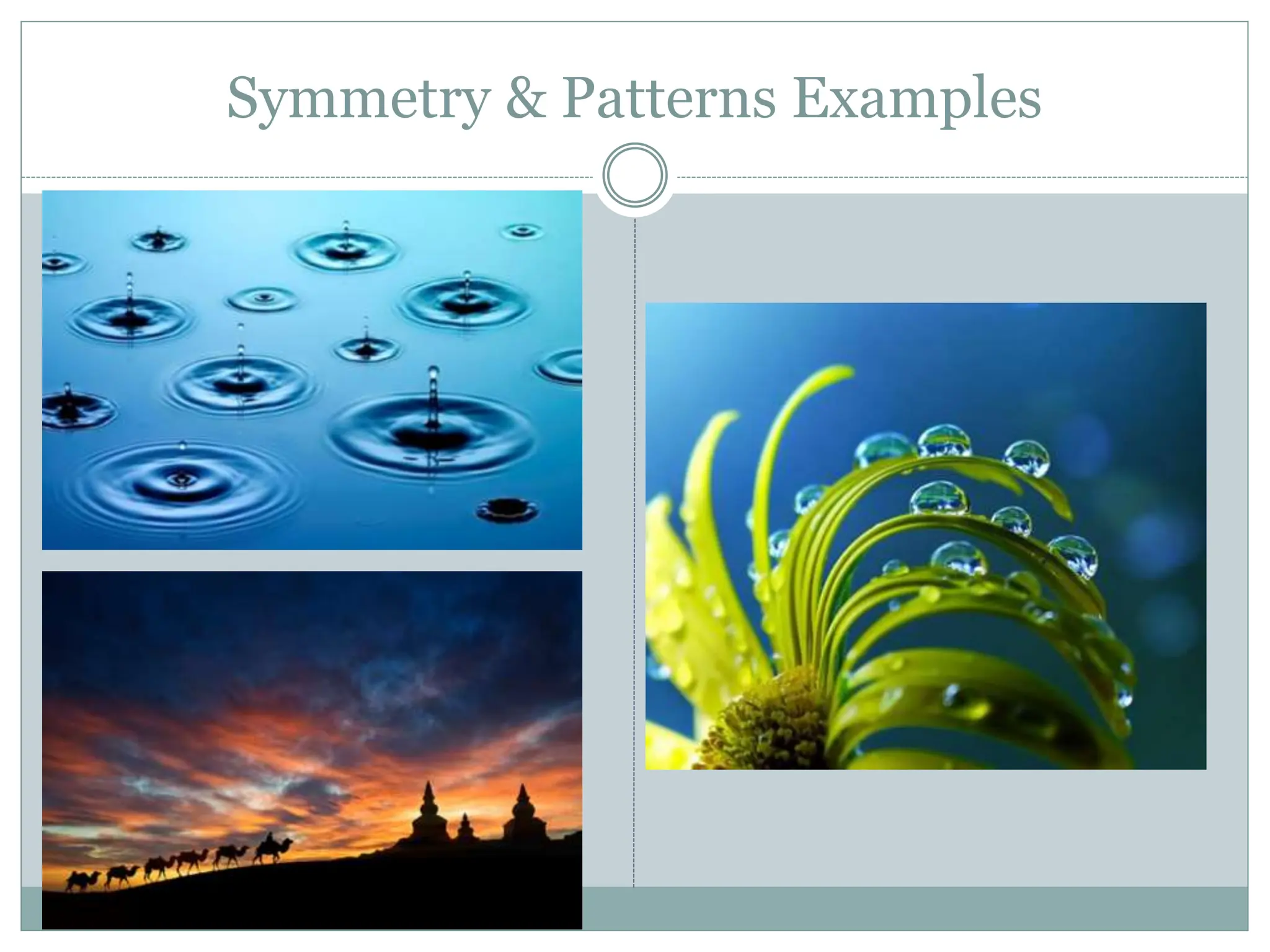 P5 Framing and Composition.pptx