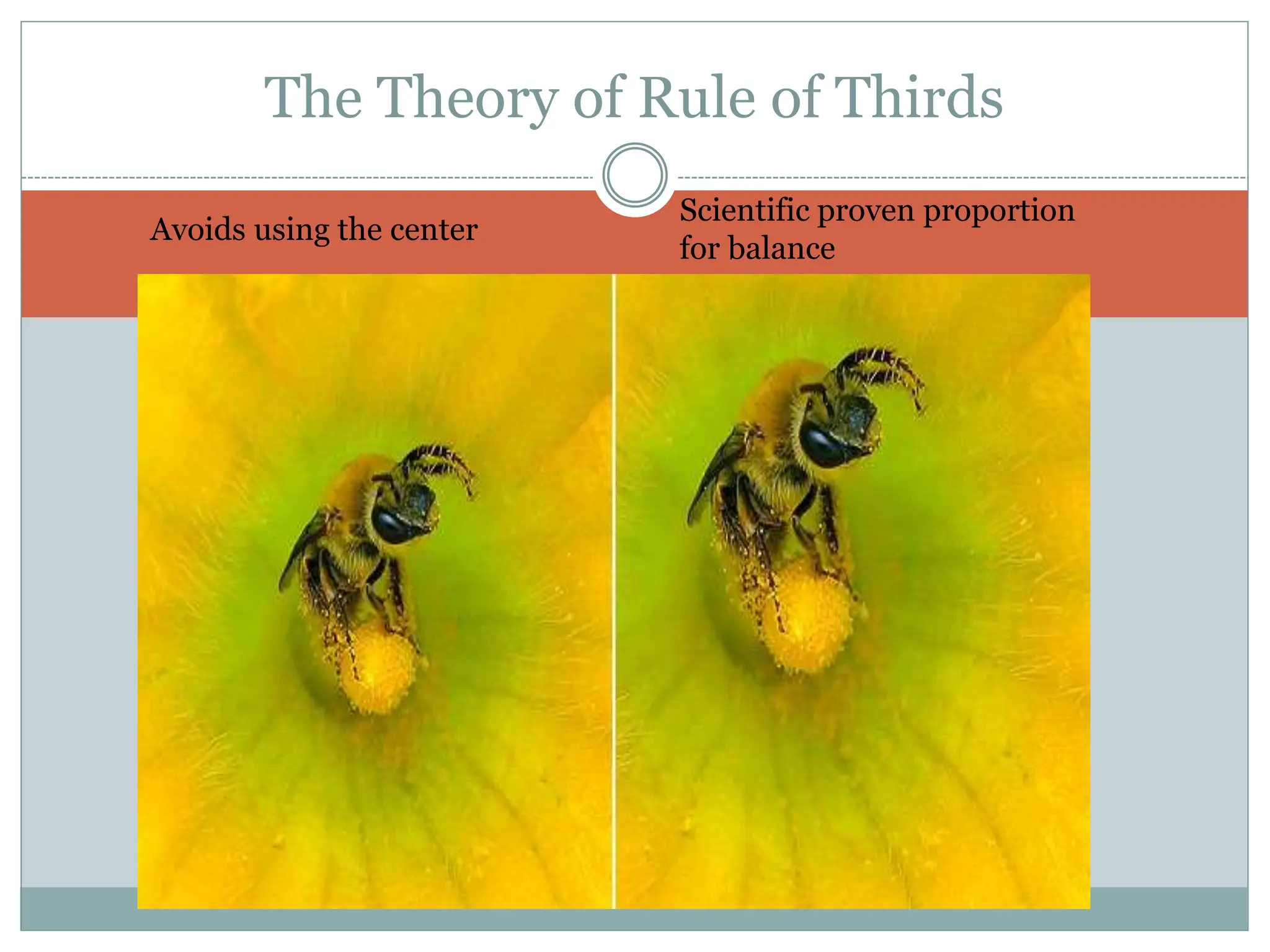 P5 Framing and Composition.pptx