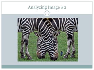 P5 Framing and Composition.pptx | Photography | Arts and Crafts