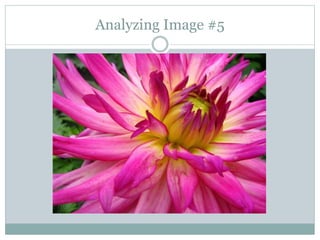 P5 Framing and Composition.pptx | Photography | Arts and Crafts