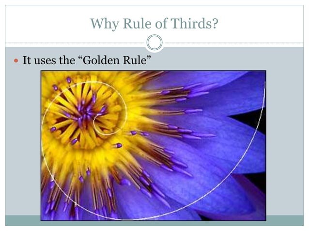 P5 Framing and Composition.pptx