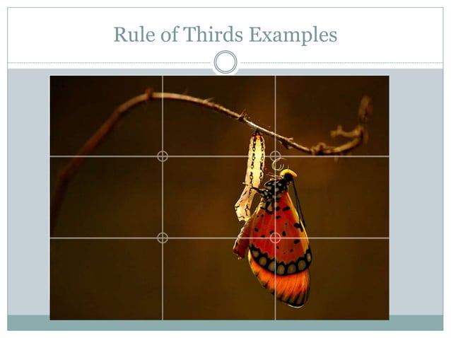 P5 Framing and Composition.pptx