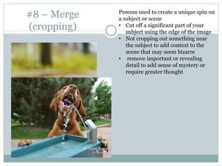P5 Photographic Composition.pptx