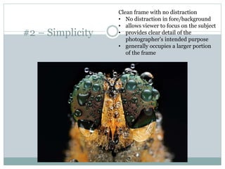 P5 Photographic Composition.pptx