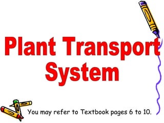 P5 Science - Plant Transport System | PPT