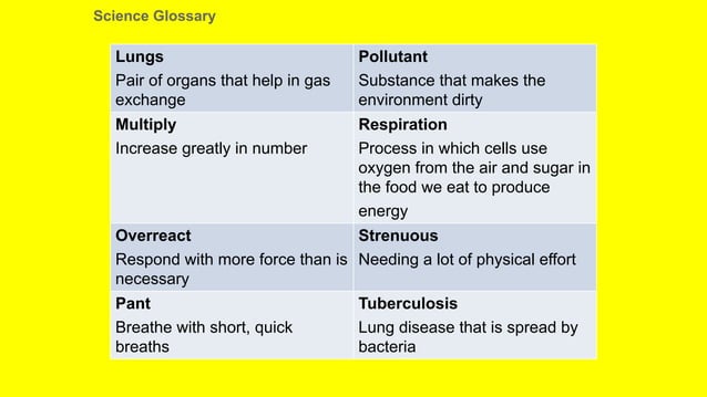 P5 Science Unit 2 Respiratory System.pptx.pdf | Lung and Respiratory ...