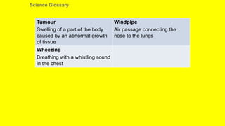 P5 Science Unit 2 Respiratory System.pptx.pdf