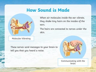 Sound | PPT | Chemistry | Science