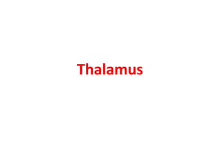 P5Thalamus-1 (1).ppt