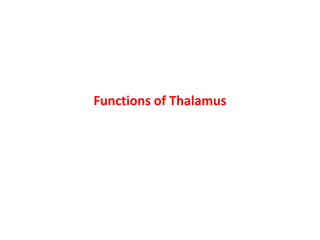 P5Thalamus-1 (1).ppt