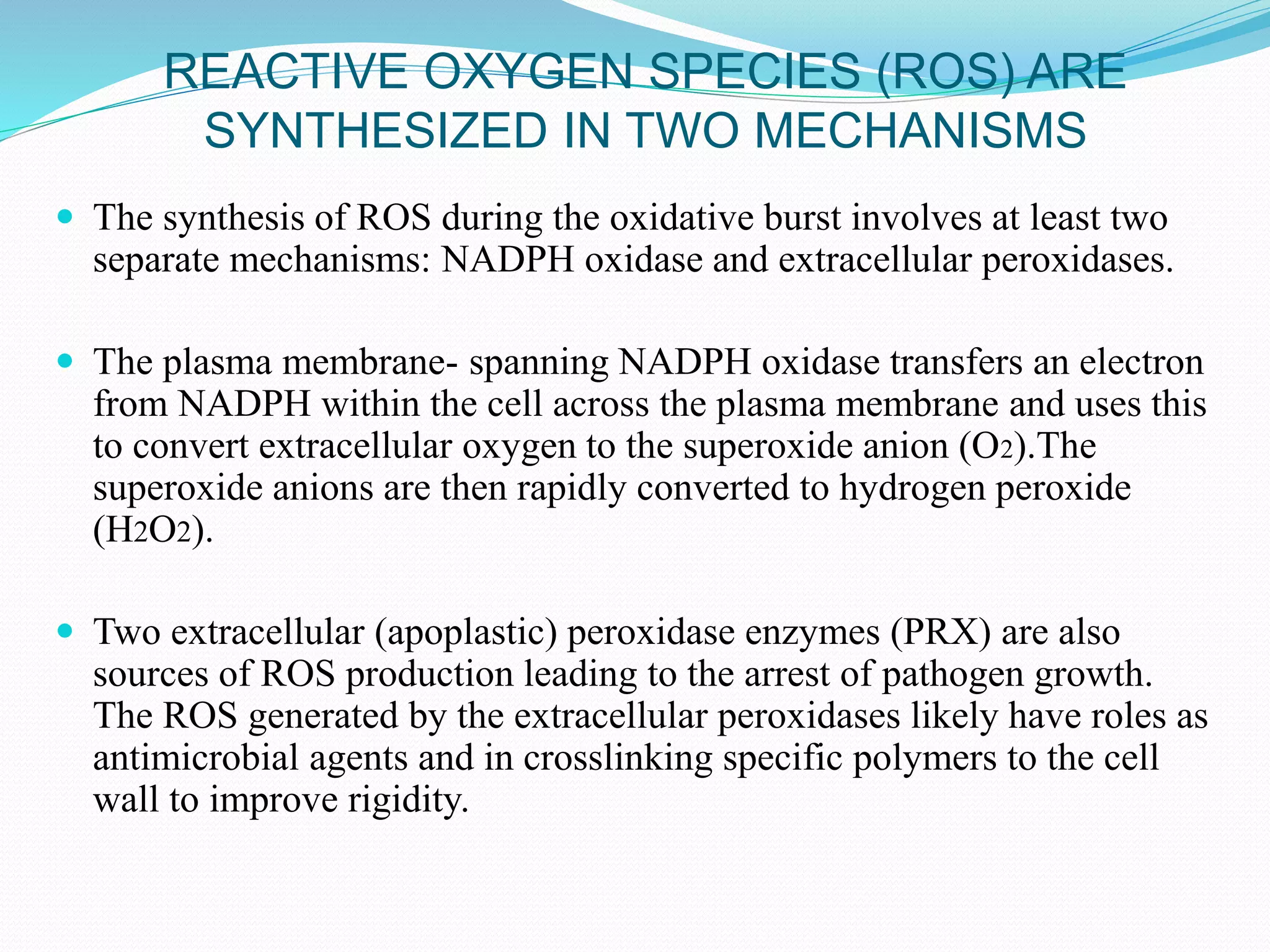 IONIC AND OSMOTIC HOMEOSTASIS, REACTIVE OXYGEN SPECIES.pptx