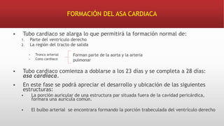 SISTEMA_CARDIOVASCULAR_histoembriologia.pptx