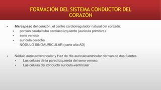 SISTEMA_CARDIOVASCULAR_histoembriologia.pptx