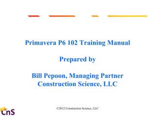 Primavera P6 manual | PDF