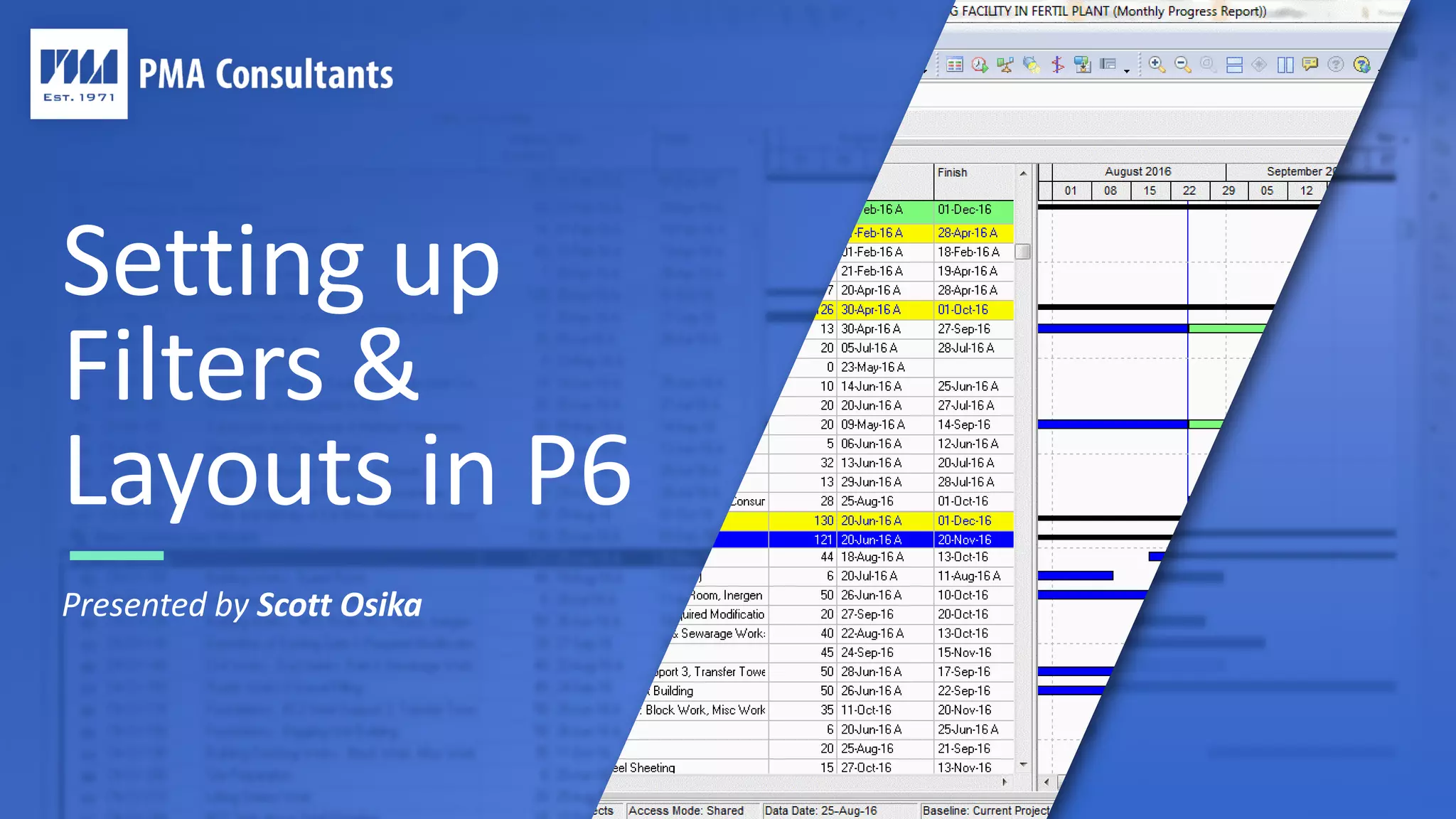 Setting up Filters & Layouts in P6 | PDF | Computing | Technology & Computing