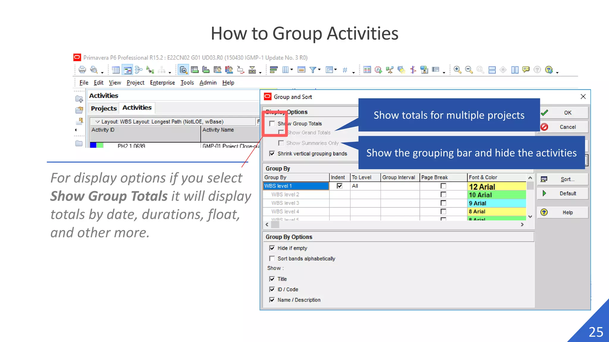 Setting up Filters & Layouts in P6 | PDF