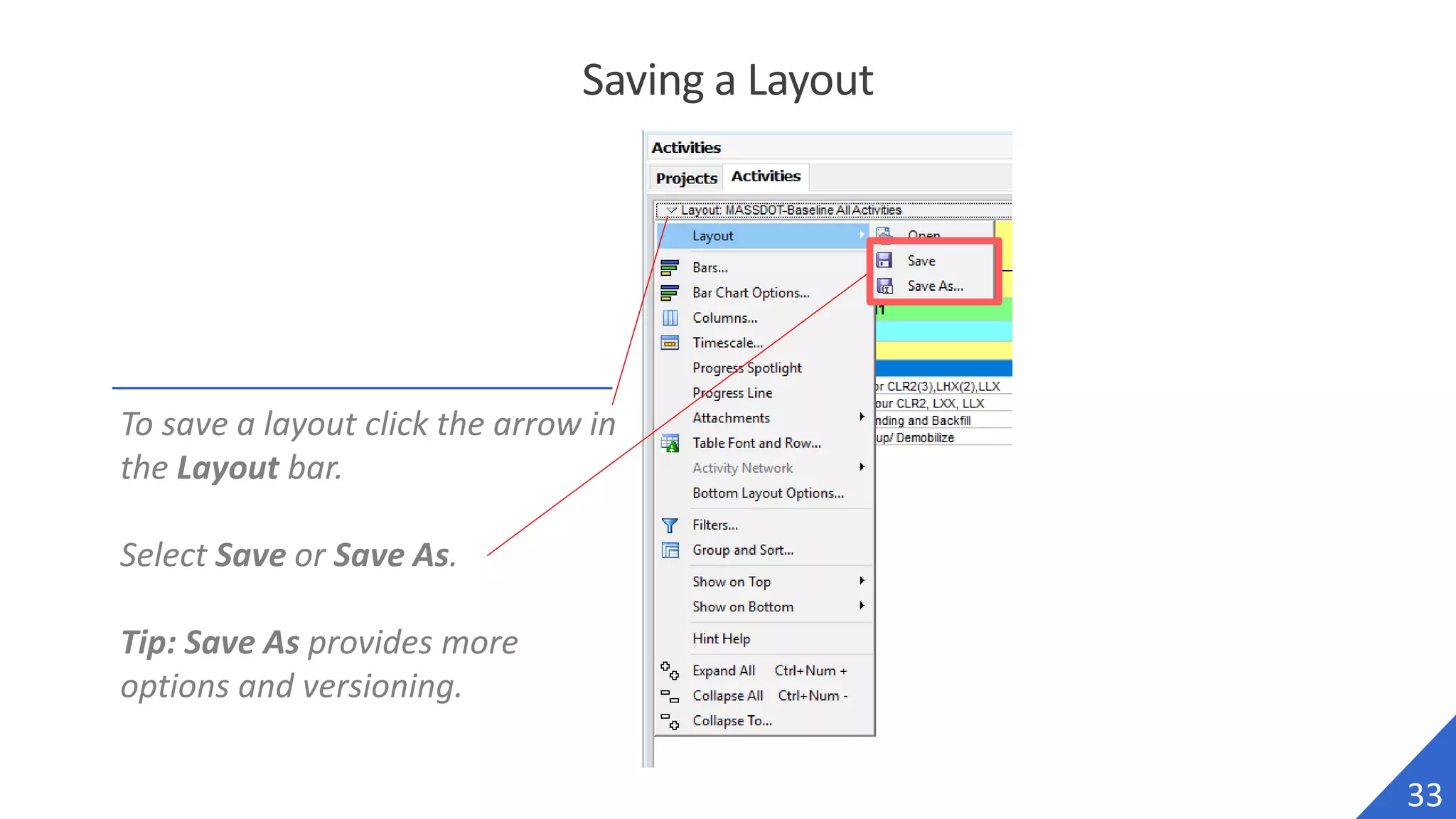 Setting up Filters & Layouts in P6 | PDF
