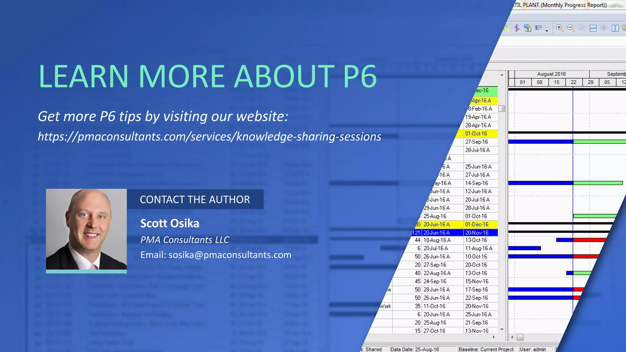 Setting up Filters & Layouts in P6 | PDF | Computing | Technology & Computing