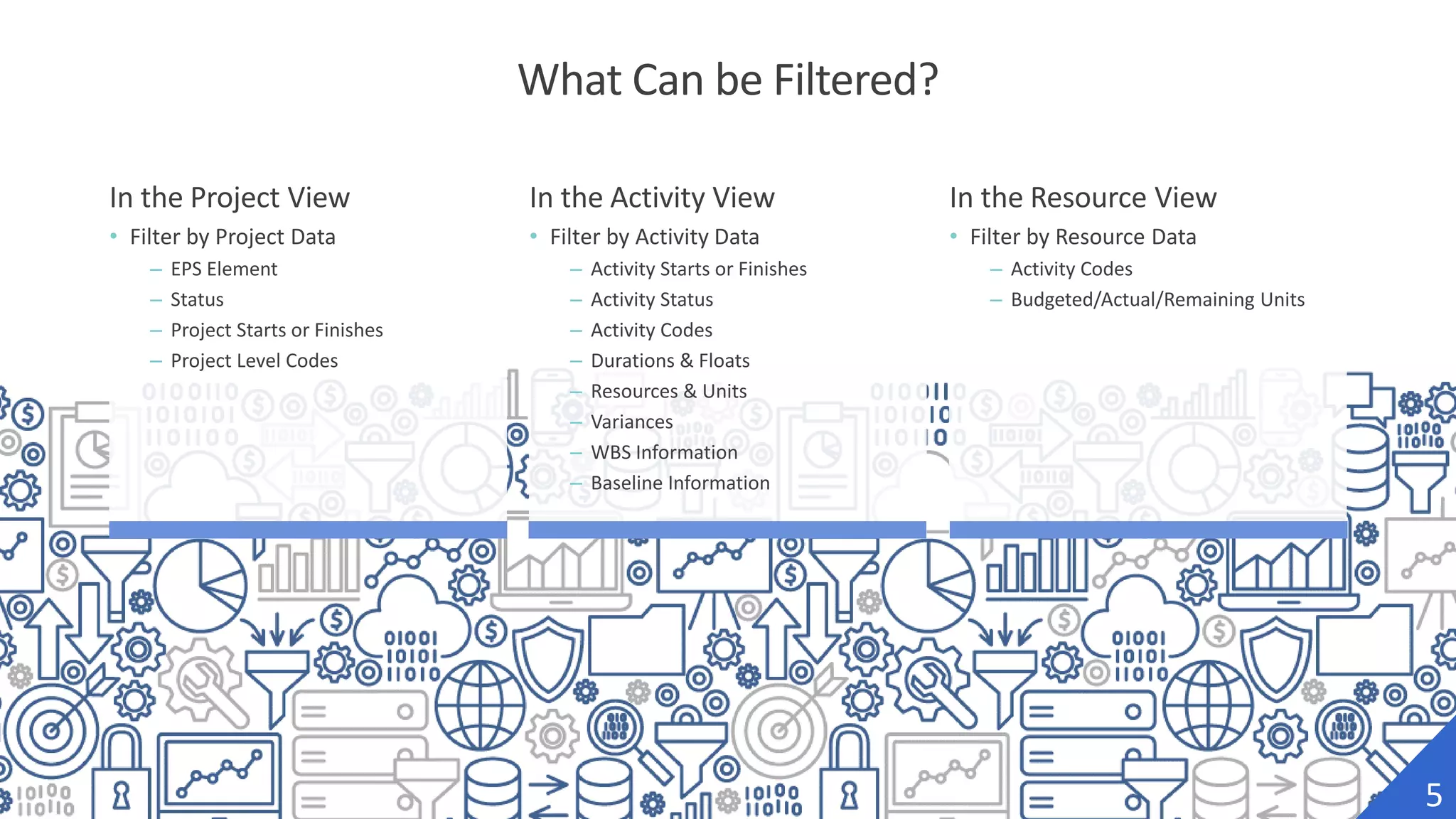 Setting up Filters & Layouts in P6 | PDF