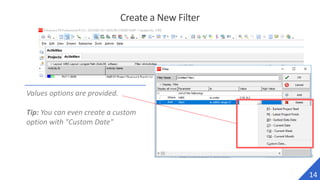 Setting up Filters & Layouts in P6 | PDF