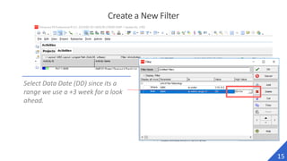 Setting up Filters & Layouts in P6 | PDF