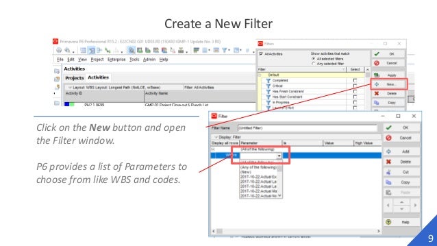 Setting up Filters & Layouts in P6